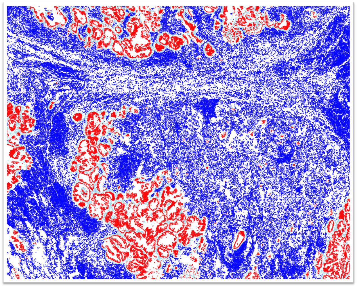 Scroll-Based Image Transition Website